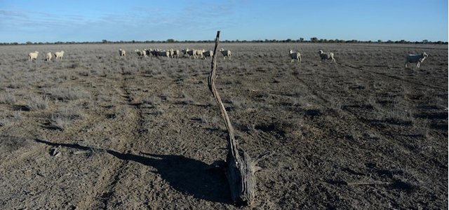 Reflecting on the drought in NSW – Insights Magazine