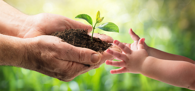 A life-giving story to show and tell – Insights Magazine