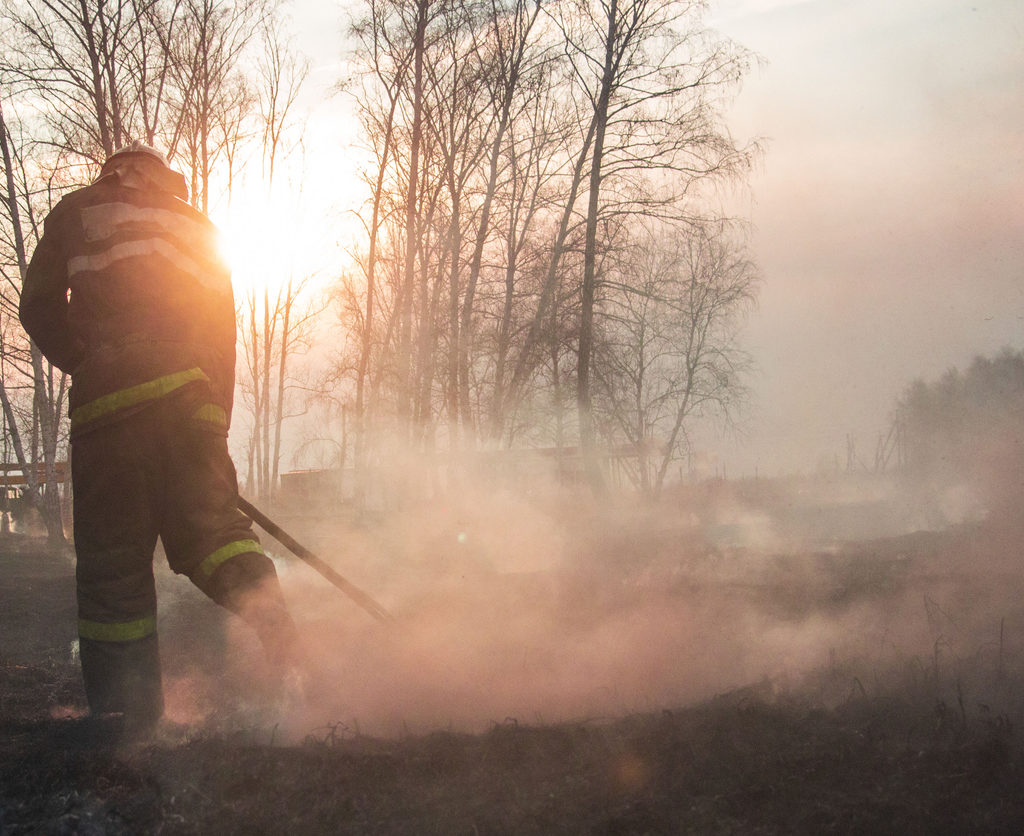 Recovery from fires-another perspective – Insights Magazine