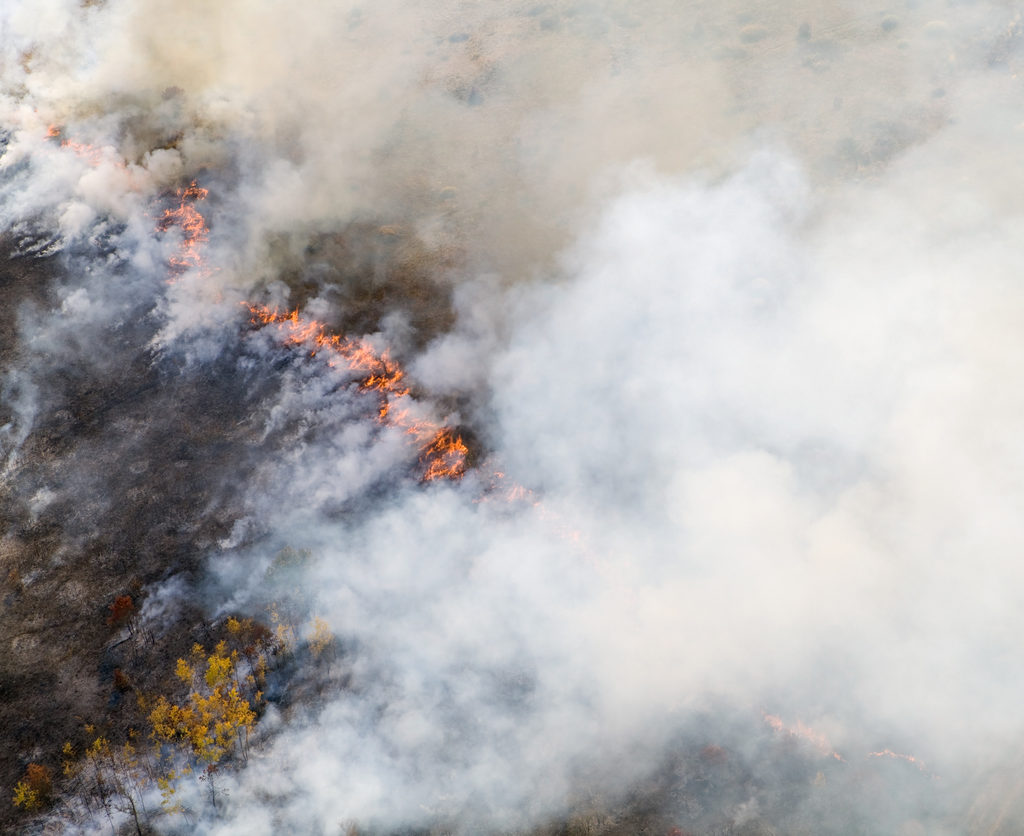 As the smoke clears – Insights Magazine