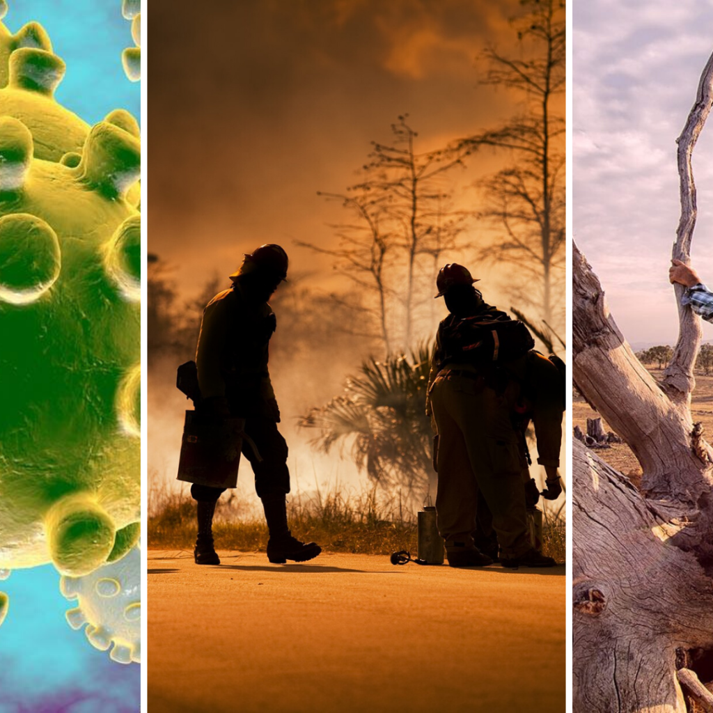 Colliding calamities are hurting the most vulnerable – Insights Magazine