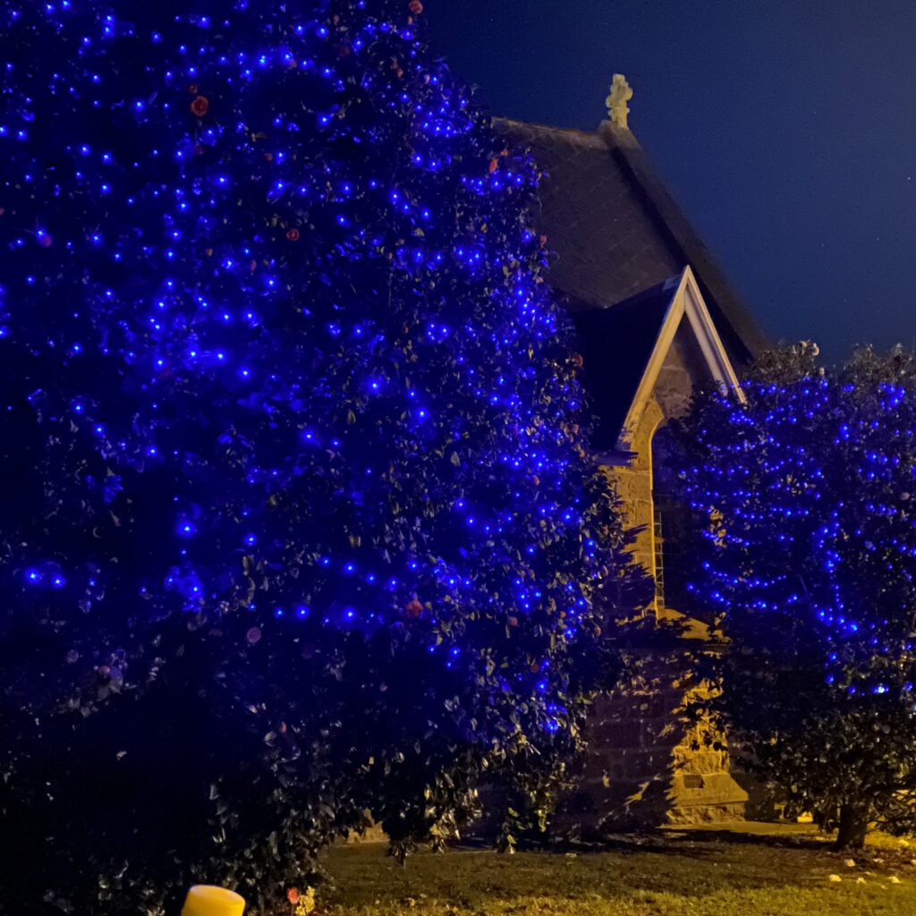 The Blue Tree Project – Starting Conversations – Insights Magazine