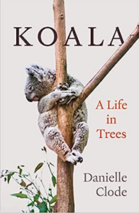 Our strange relationship with the iconic koala – Insights Magazine