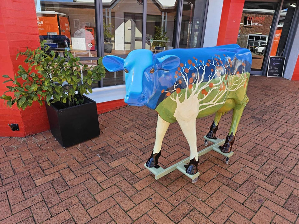 Our own dairy cow – Insights Magazine