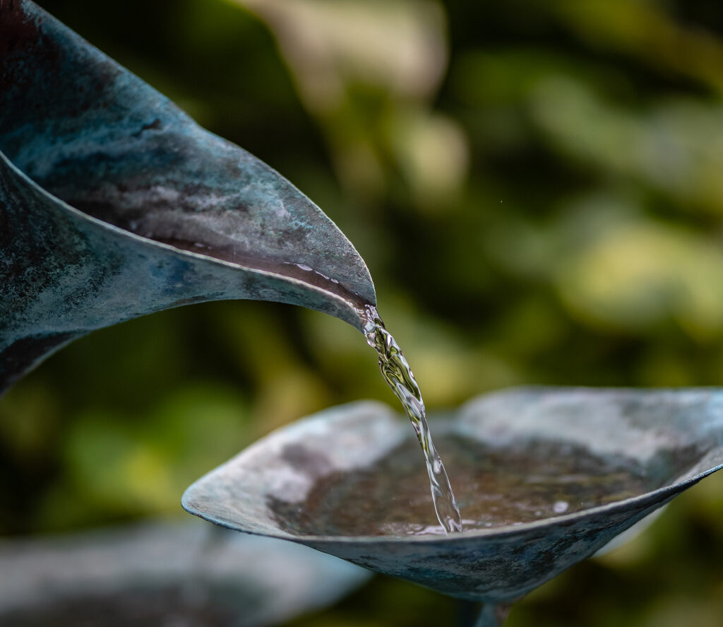 Wellspring of Life – Insights Magazine